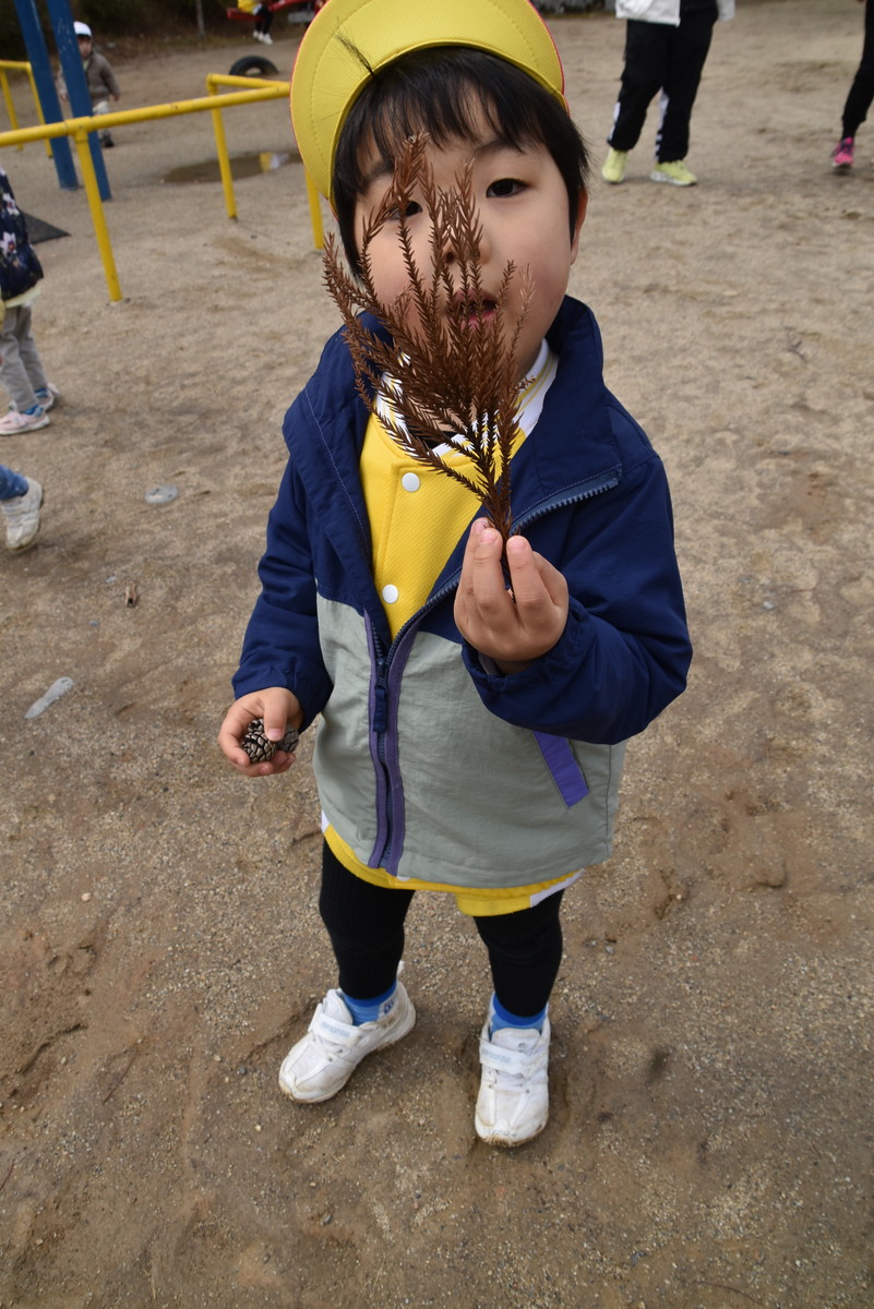 DSC_0017 – 学校法人大川学園 大川幼稚園