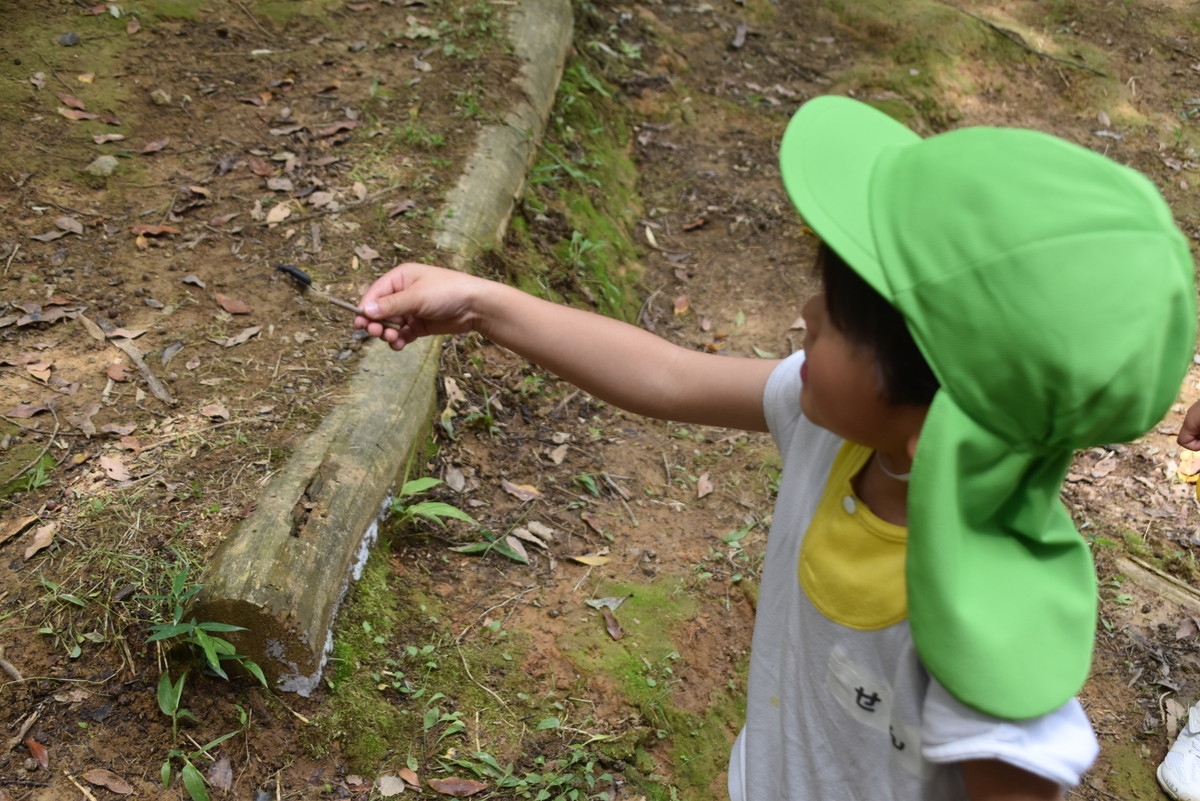 DSC_0457 – 学校法人大川学園 大川幼稚園